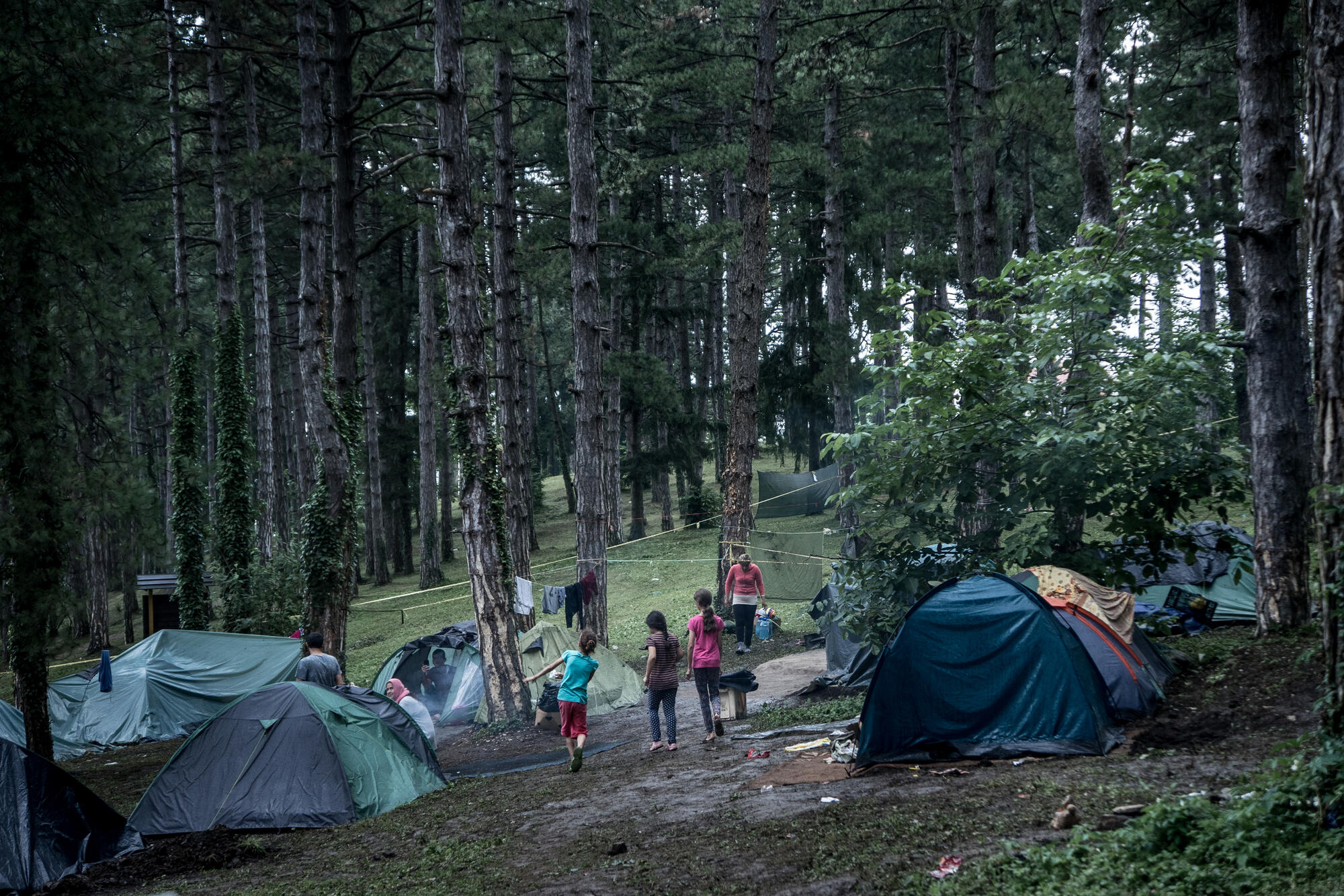 Balkans 2018 Activity Report | MSF