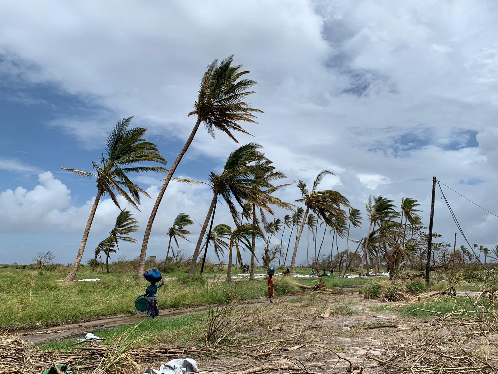 MSF emergency response to Cyclone Idai and flooding crisis update | MSF