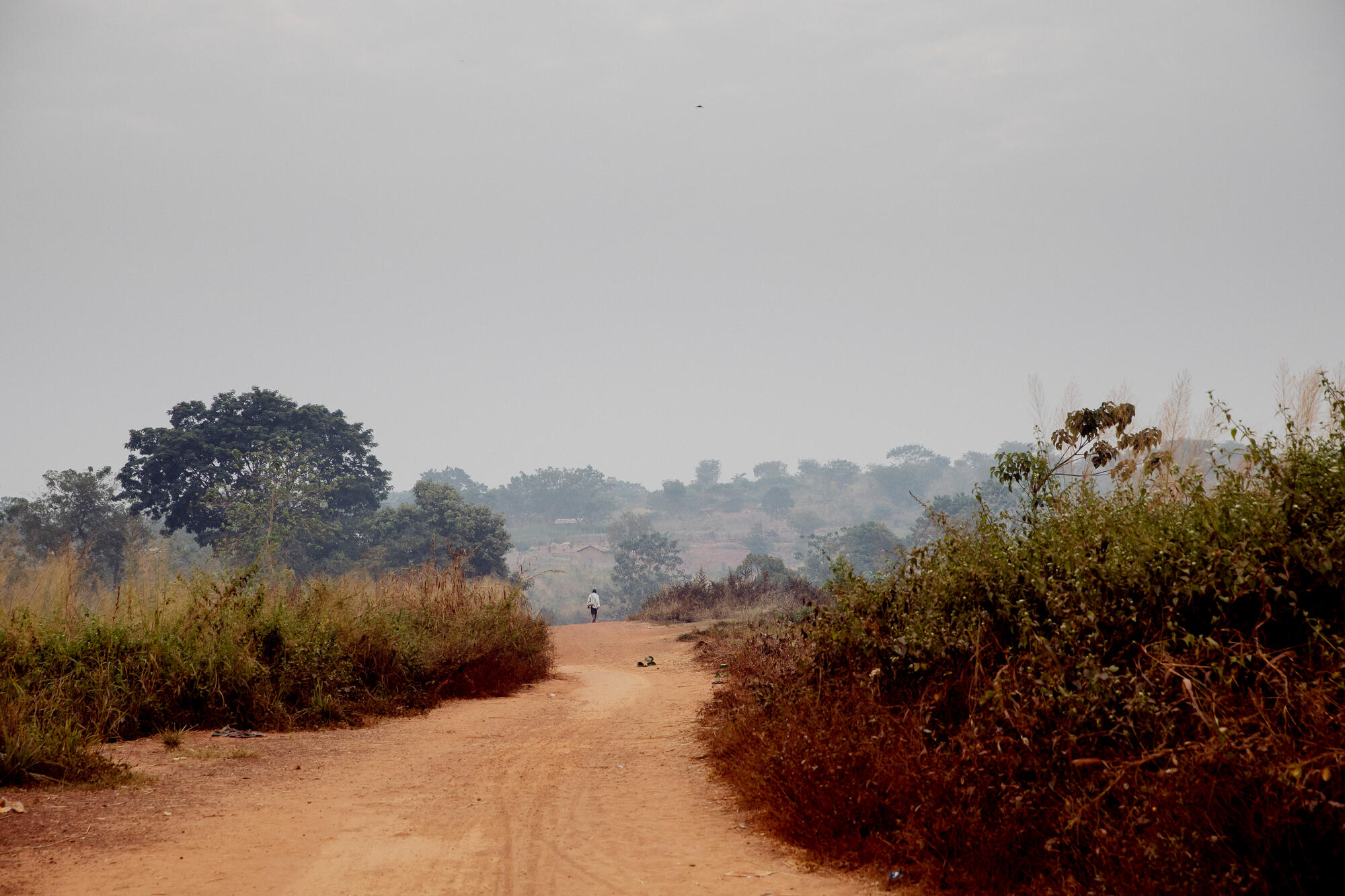 Shooting incident near Bambari, CAR kills people, including MSF staff | MSF